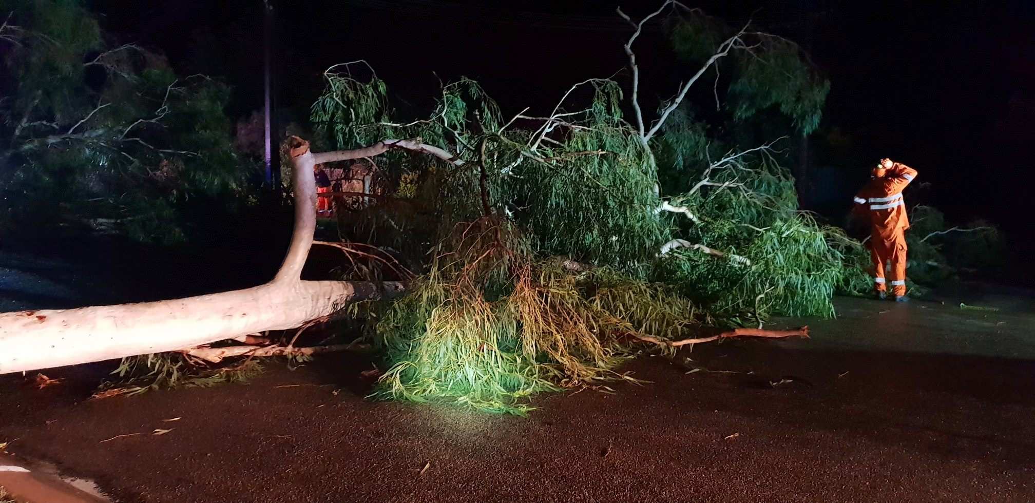 'Like a mini cyclone': Trees, powerlines down as Top End lashed by ...