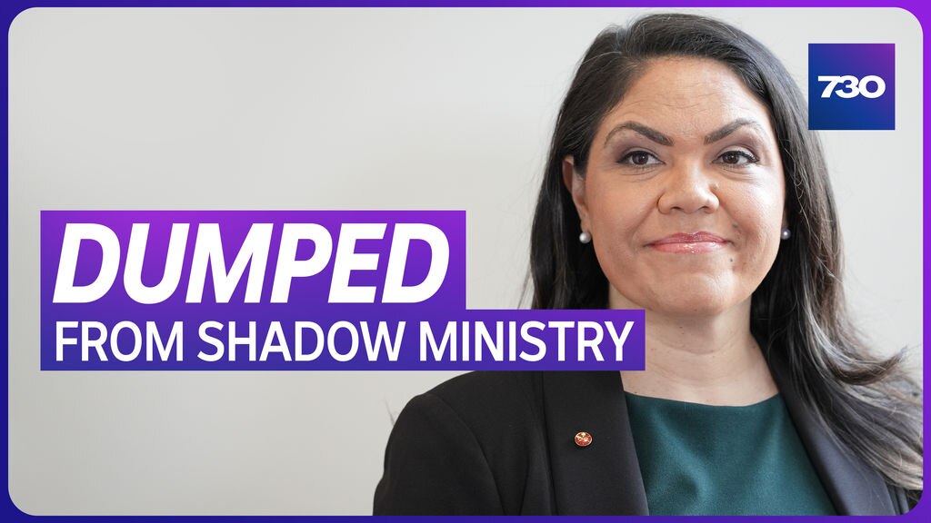 Senator Jacinta Nampijinpa Price dumped from shadow ministry - ABC News