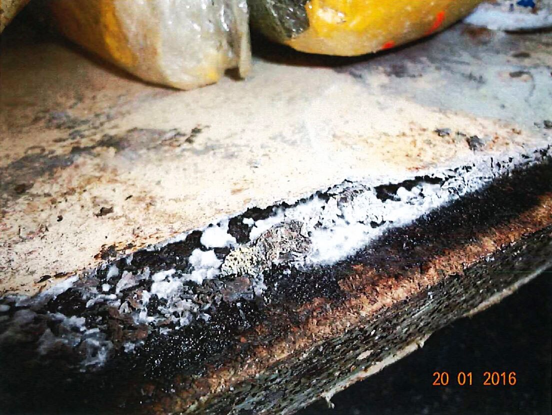 Pest-infested, filthy eateries going years without inspections in ...