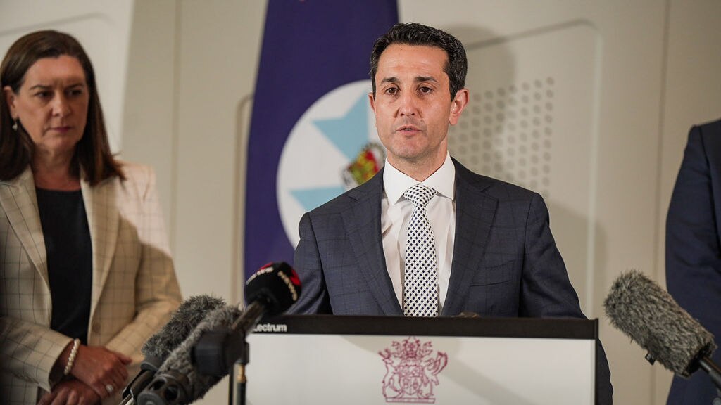 Has the LNP achieved its 100 day goals? - ABC News