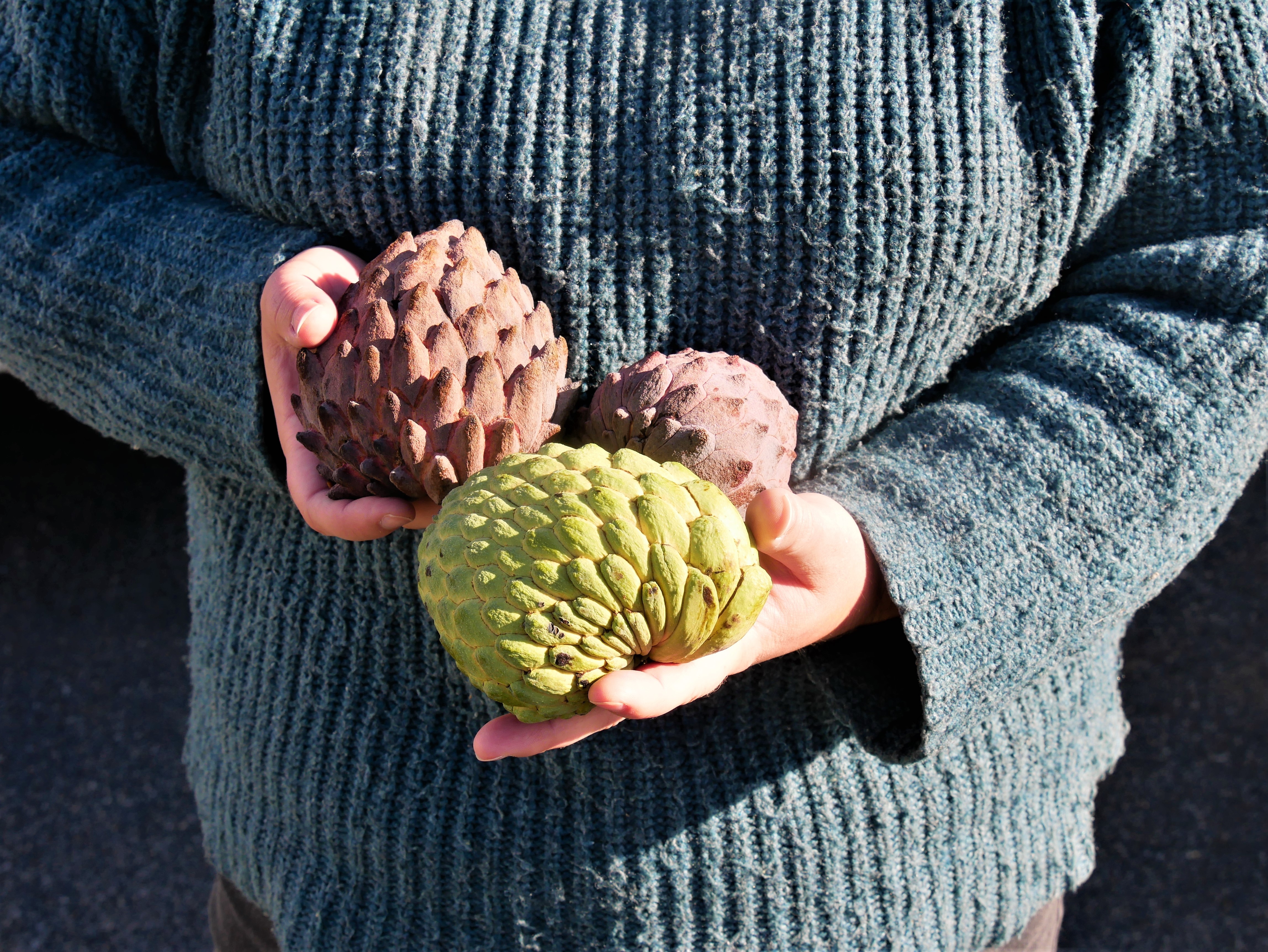 Countrywide - ABC listen