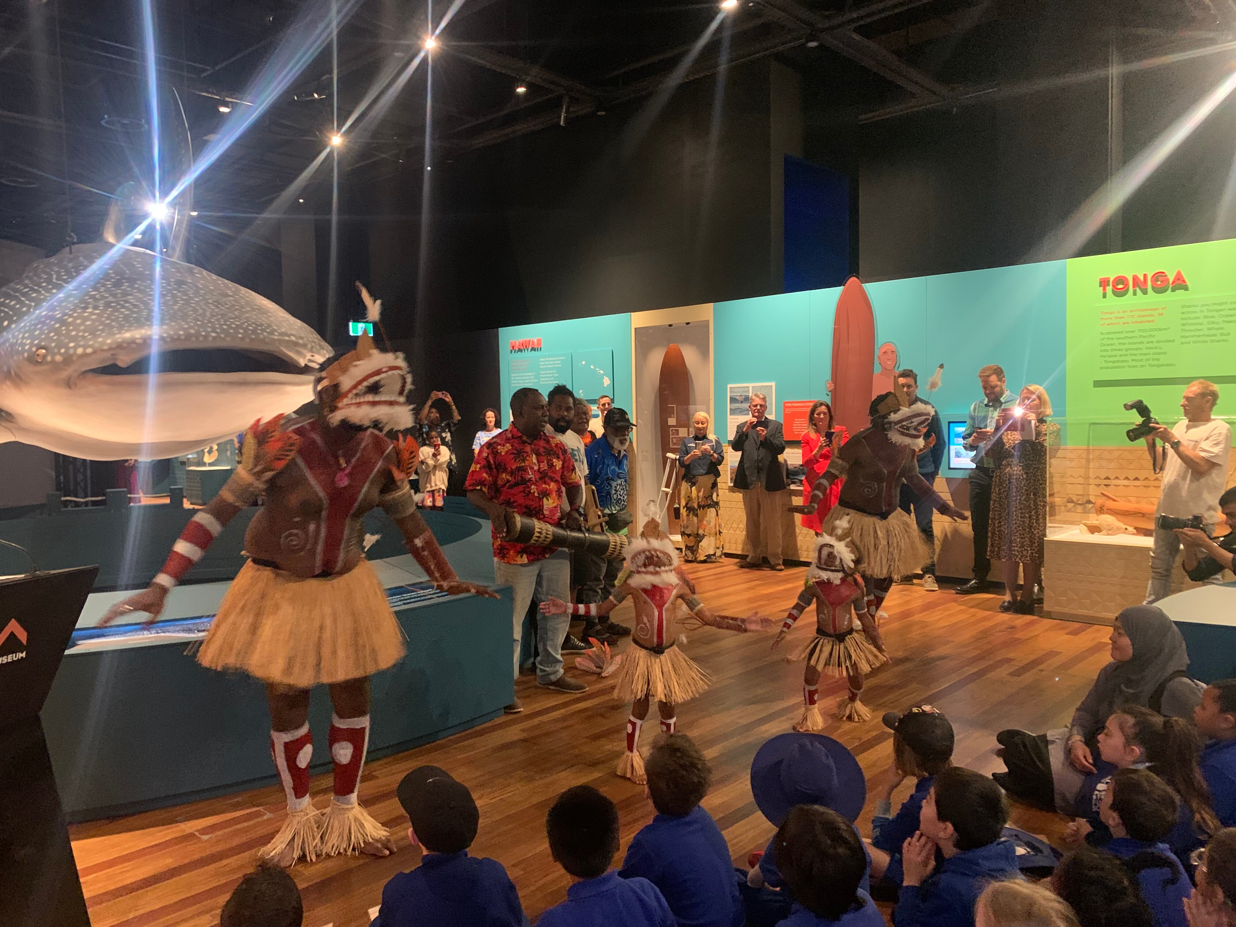 Sharks, Pacific culture at centre of new exhibit - ABC Pacific