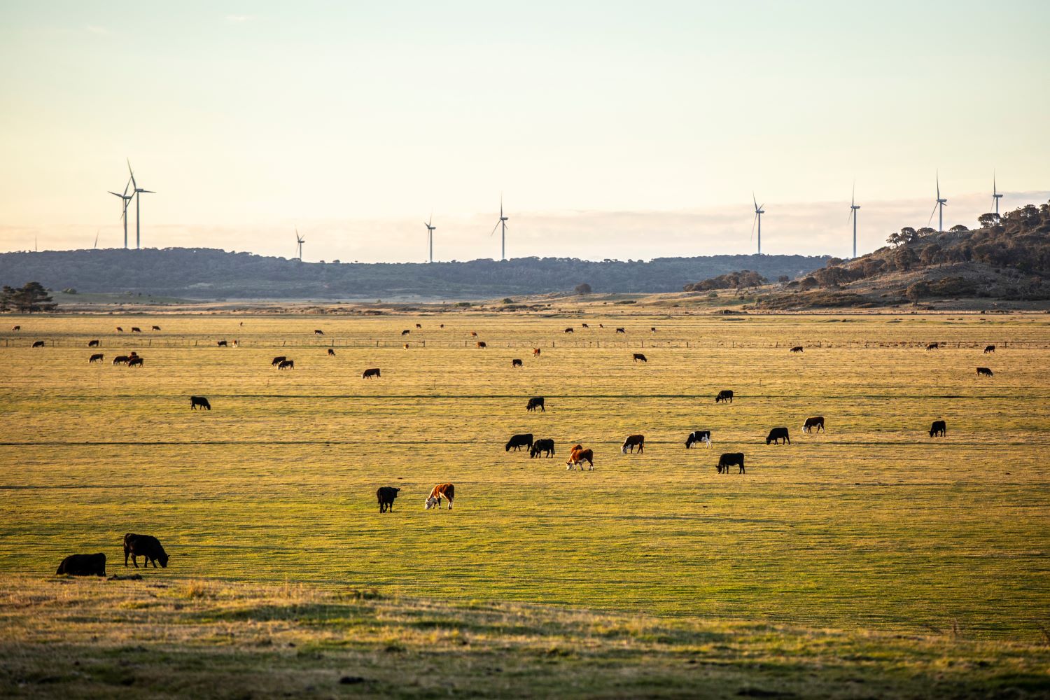 Environmental protection a key focus for operator of planned North East ...