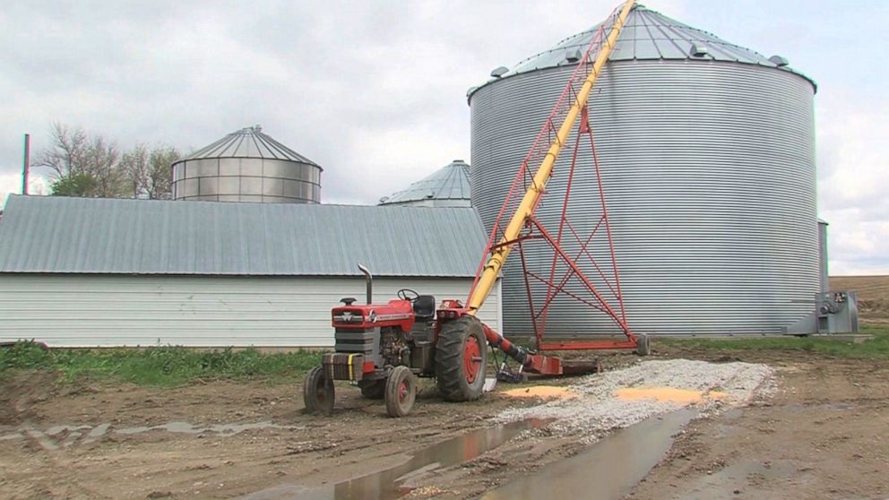Nebraska farmer amputates leg with pocket knife after getting stuck in ...