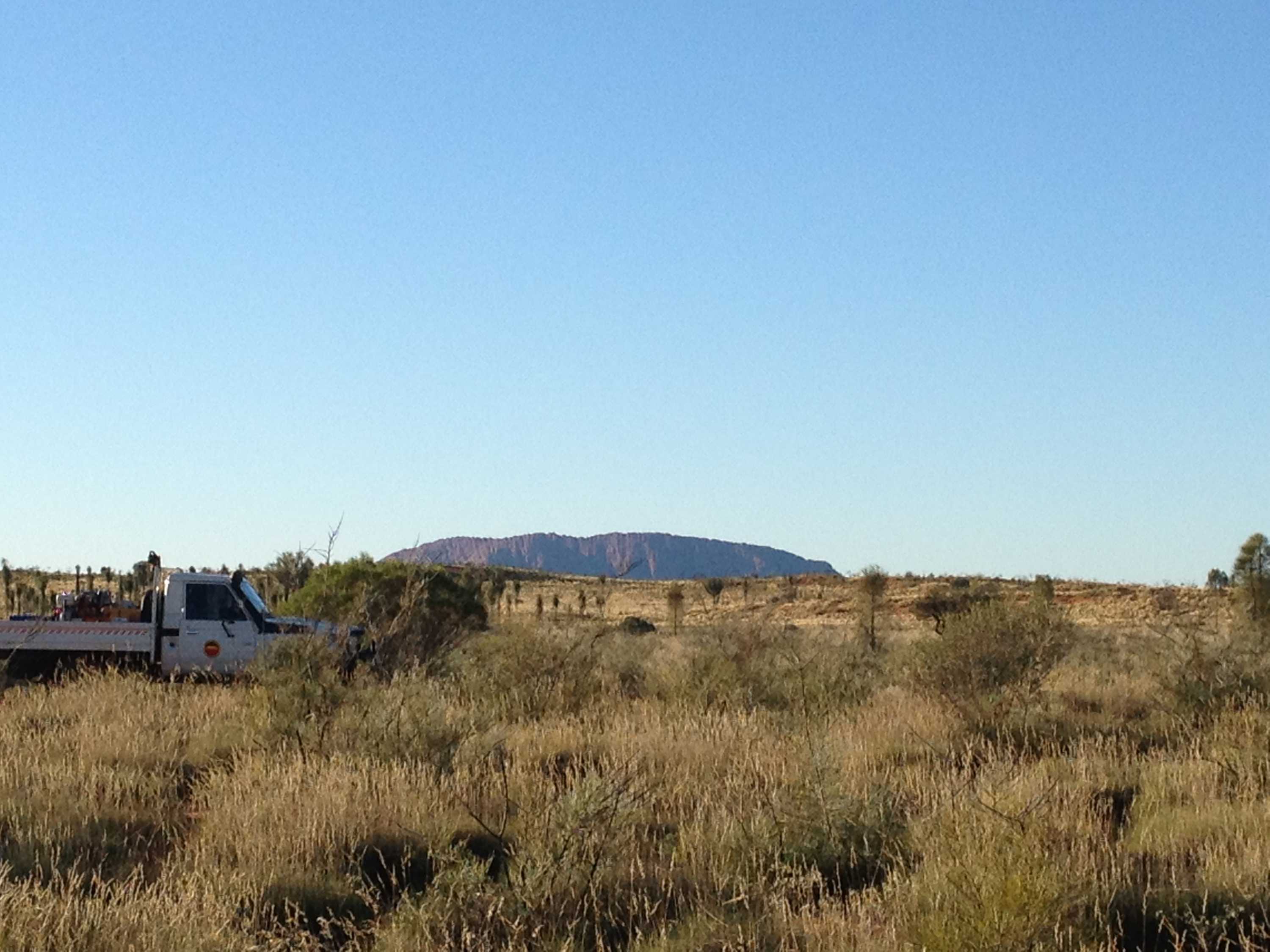 Battle to save Uluru's threatened species - ABC News