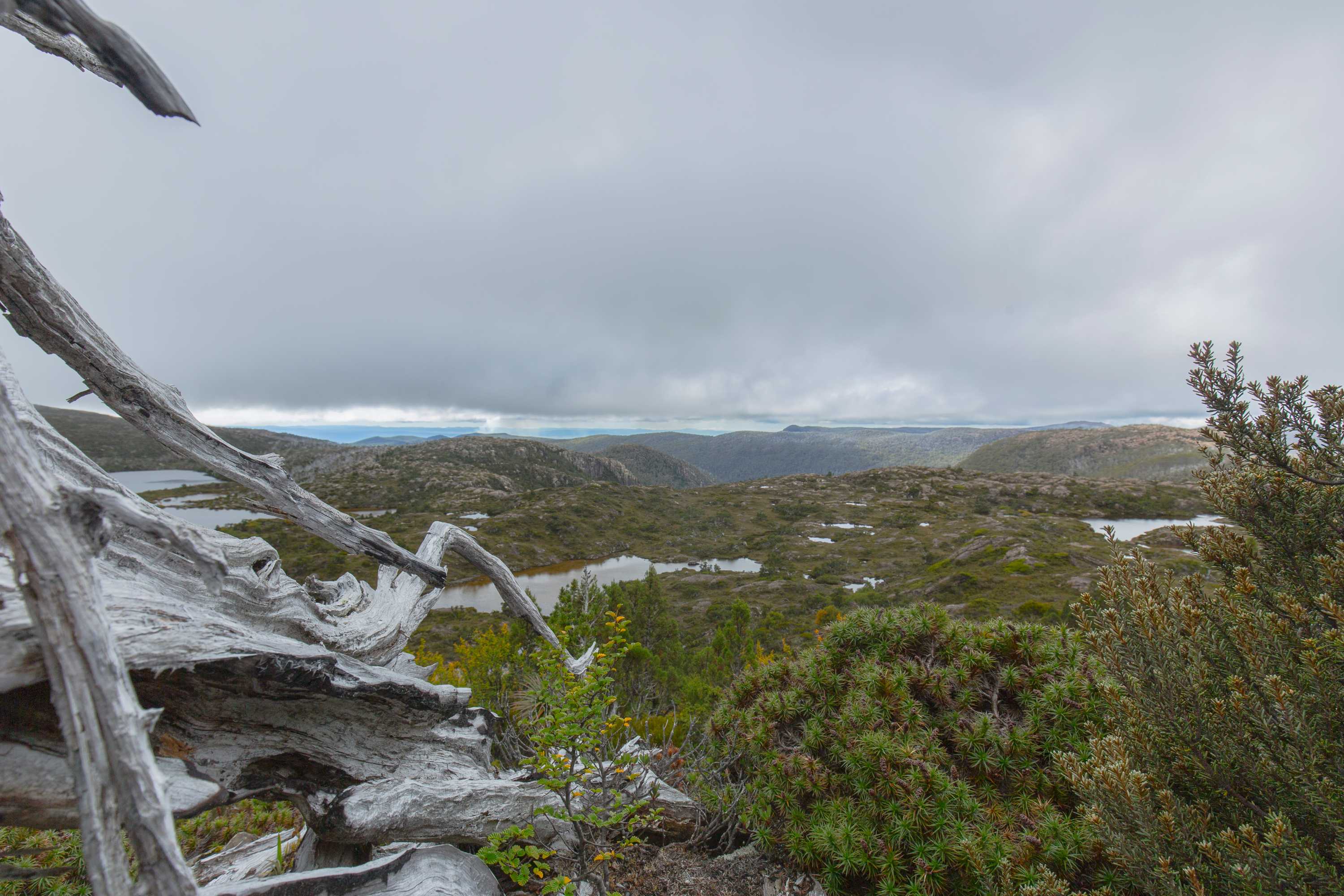 When Jamie fell in love with the mountains - ABC Radio National