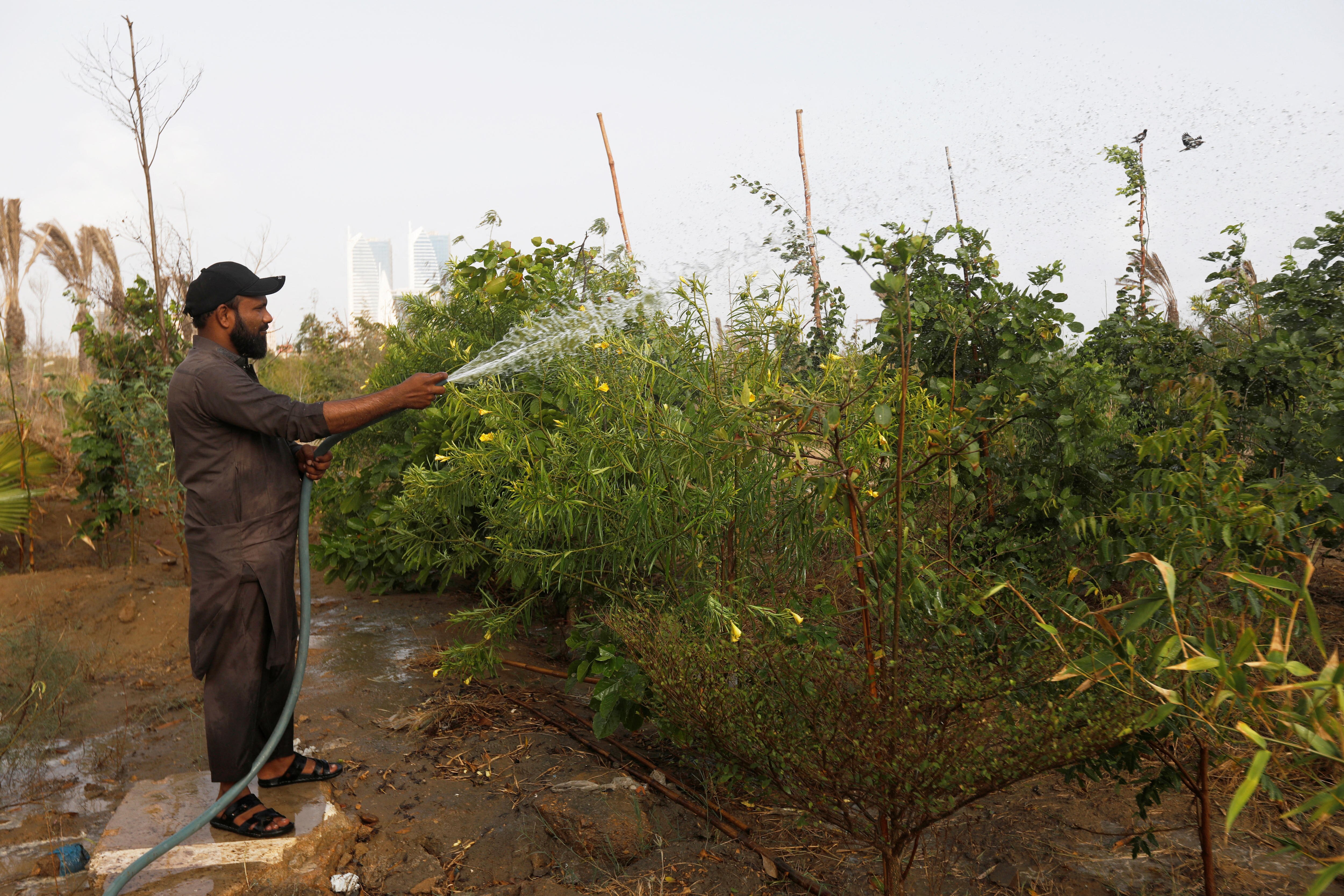 Pakistanis plant trees to provide relief from heat in one of world's ...