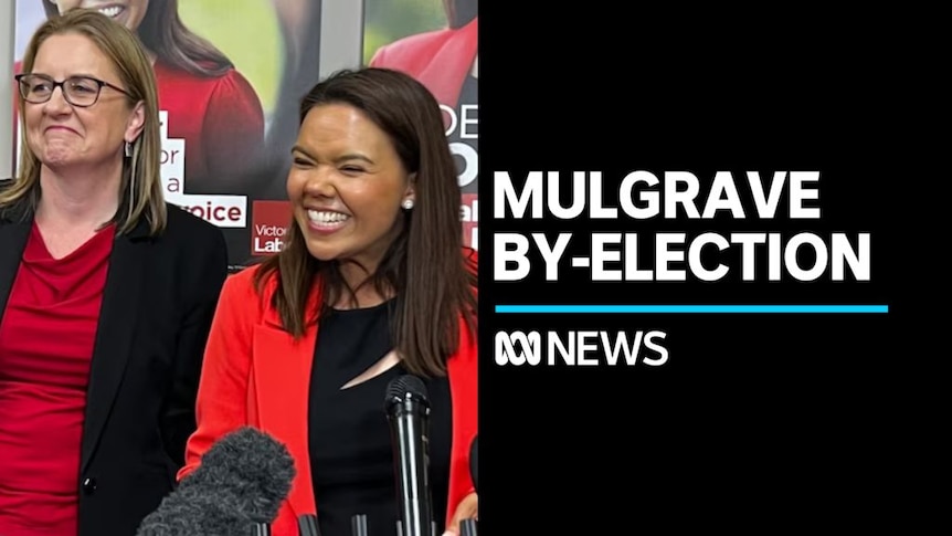 Voters in Dan Andrews' electorate of Mulgrave return to polls to elect ... Voters in Dan Andrews' electorate of Mulgrave return to polls to elect ...