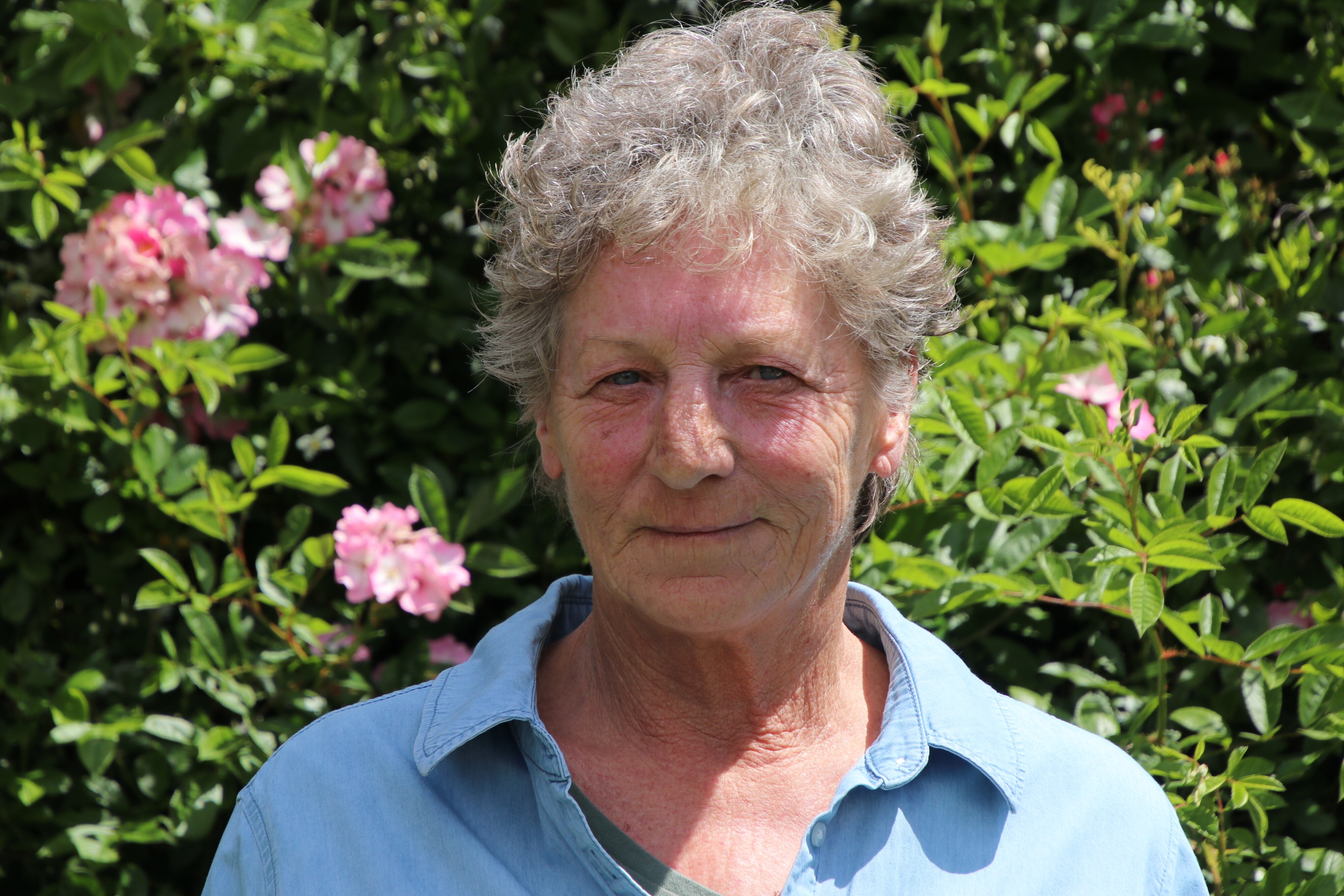 The tiny Tasmanian town of Pioneer is finally getting a piped water ...