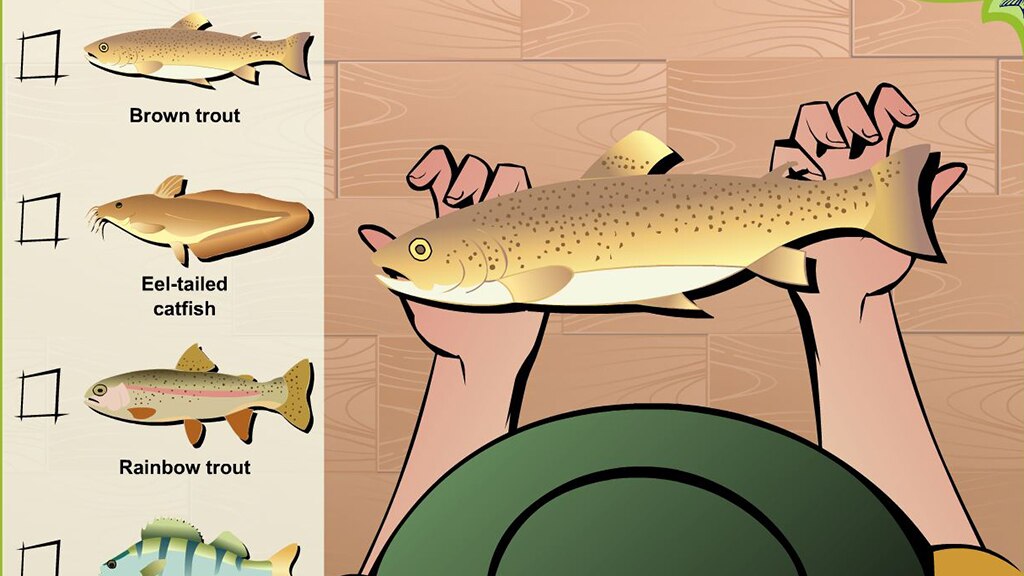 Fishing in WA: Write an Article - ABC Education