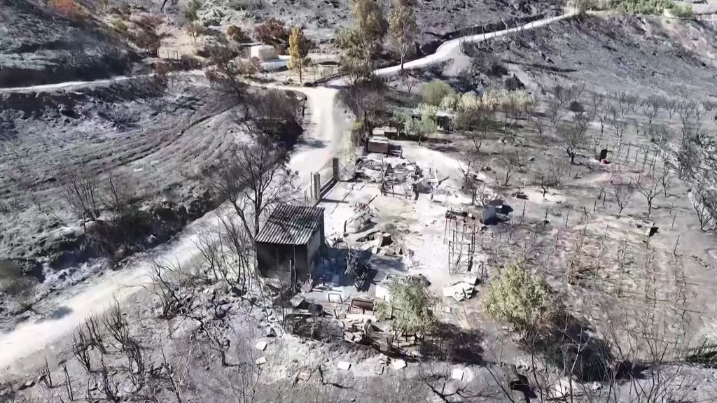 Bird's eye view of wildfire devastation in Athens suburbs - ABC News