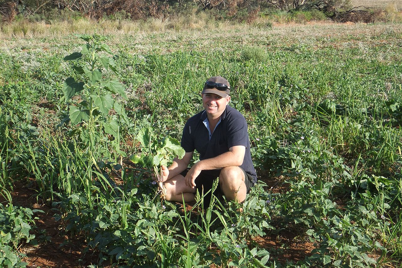 Meet the Nuffields: Craig Duffield farms marginal land using cover ...