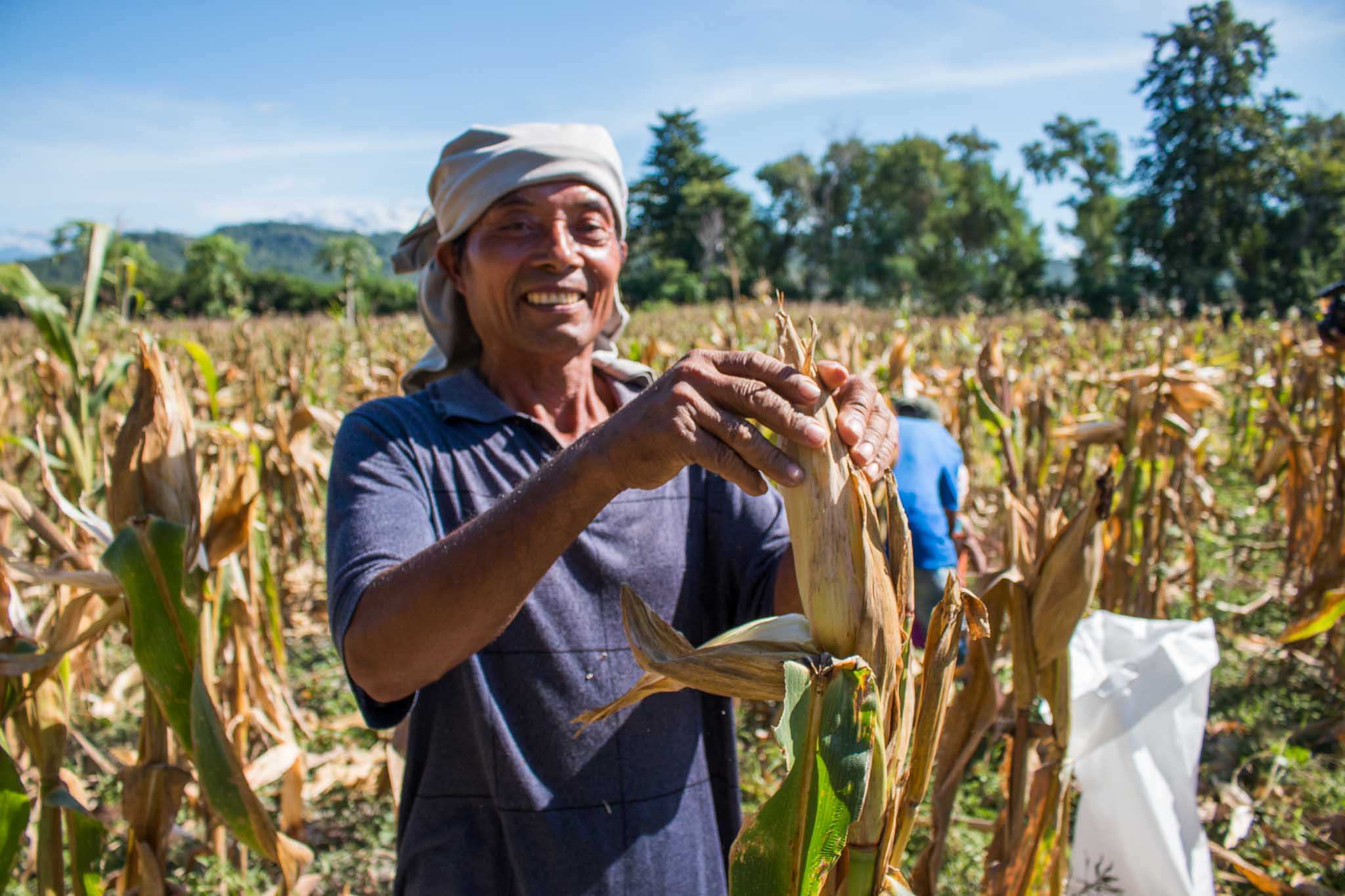 Fortunes of farmers in East Timor grow as seeds start to drive the ...