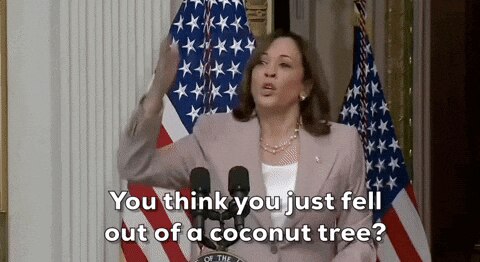 Are memes enough to get Kamala Harris into the Oval Office? - triple j