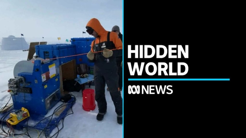Scientists discover hidden Antarctic marine world - ABC News Scientists discover hidden Antarctic marine world - ABC News