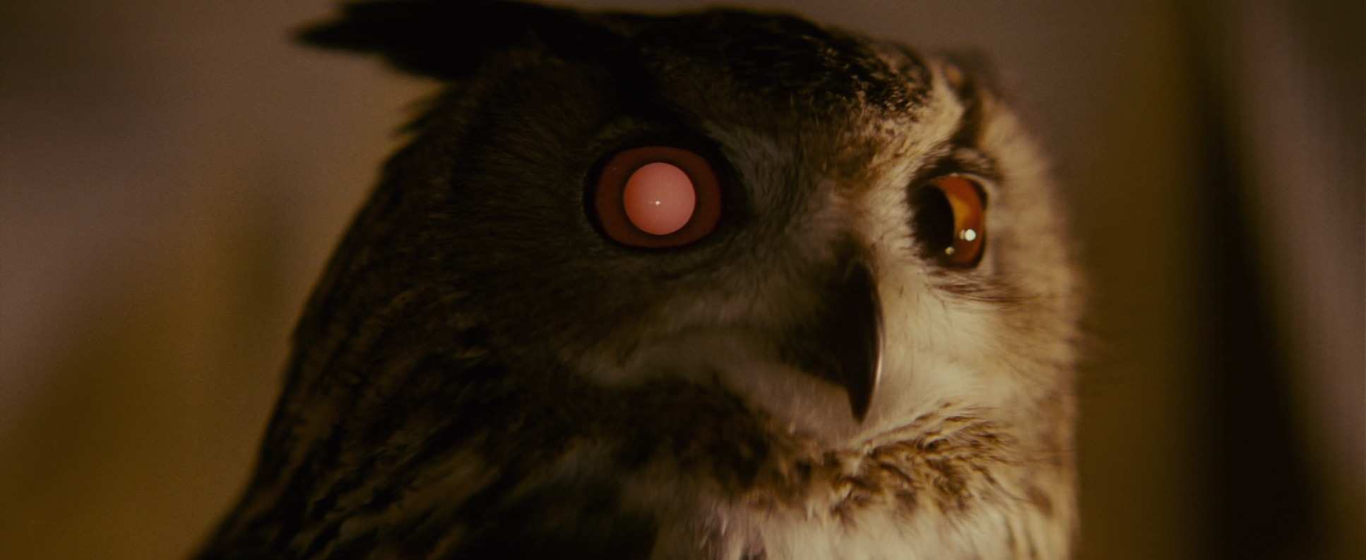 Blade Runner was set in November, 2019. Here's what it and other movies ...