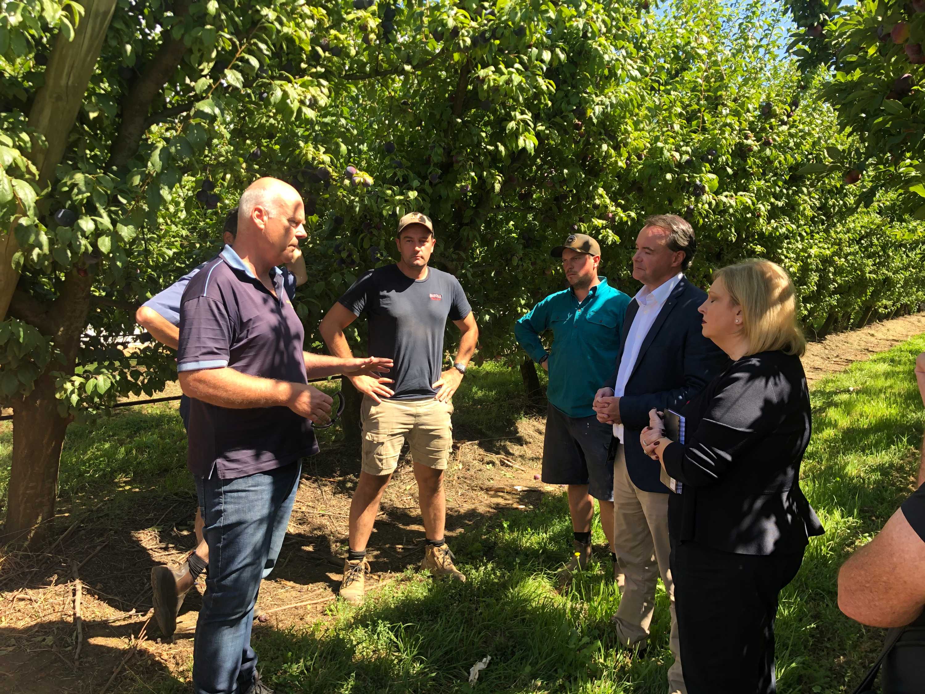 Opposition accuses Daniel Andrews of prioritising tennis players amid ...