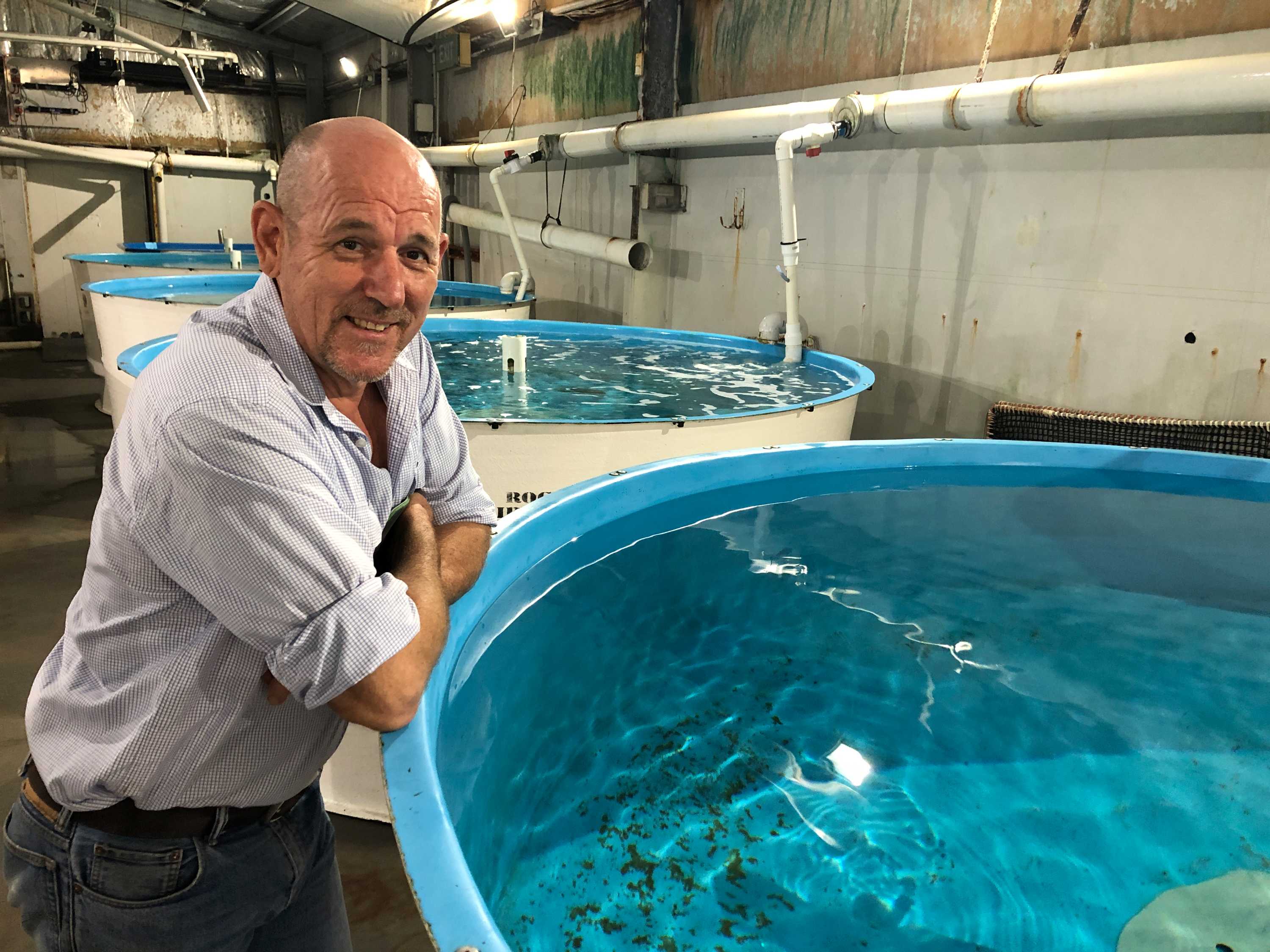 China pulls the plug on Australia's biggest live reef fish exporter ...