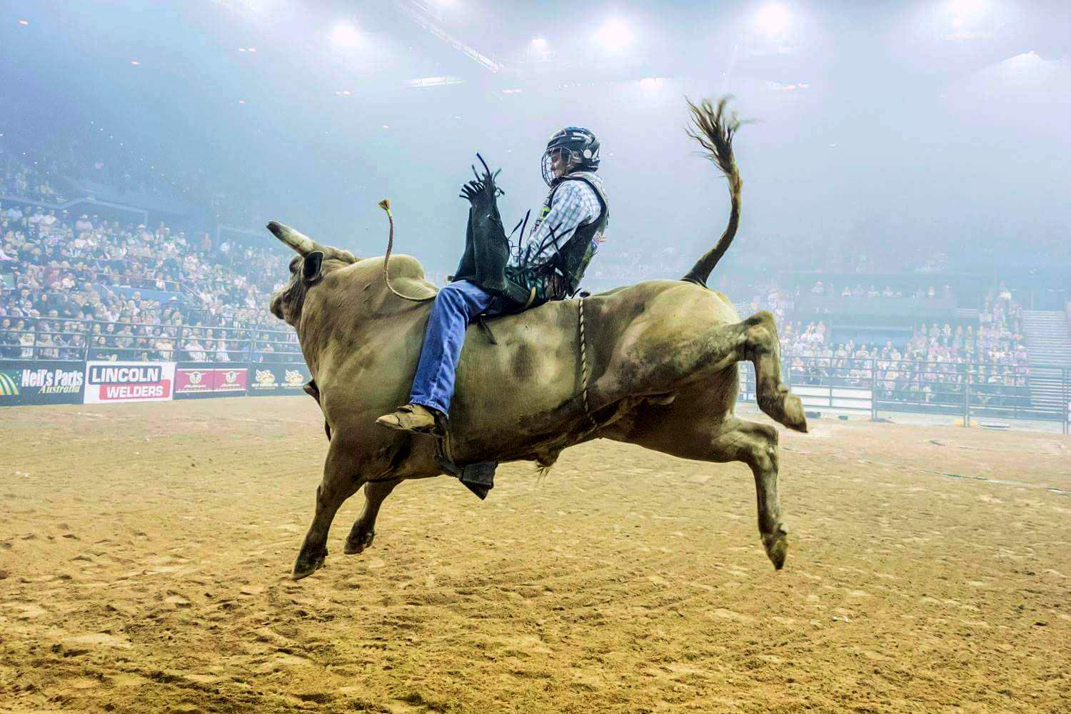 Rodeo's adrenaline and big bucks keep bull riders coming back to Mount ...