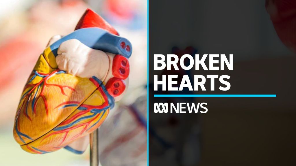 NSW Police accuse LGBT hate crimes inquiry of diverting too many ...