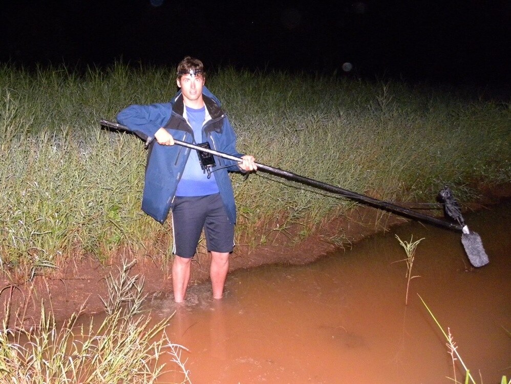Seducing cane toads into a trap - ABC News