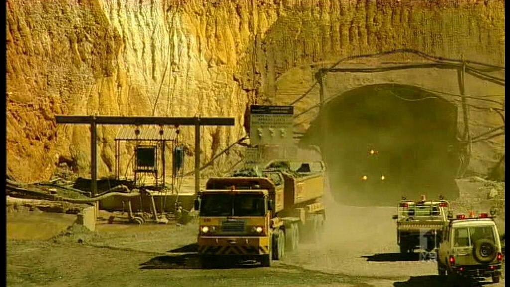 Murchison shares plummet 23pc - ABC News