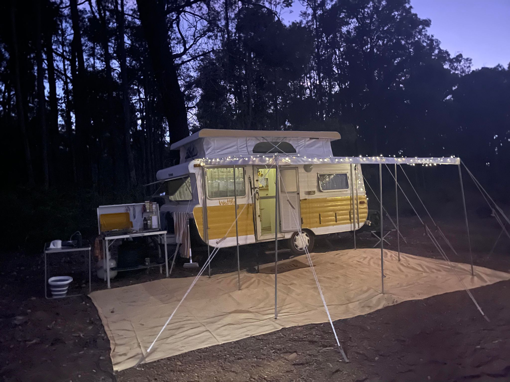 Story of cockroach crawling into camper's ear prompts outpouring of ...