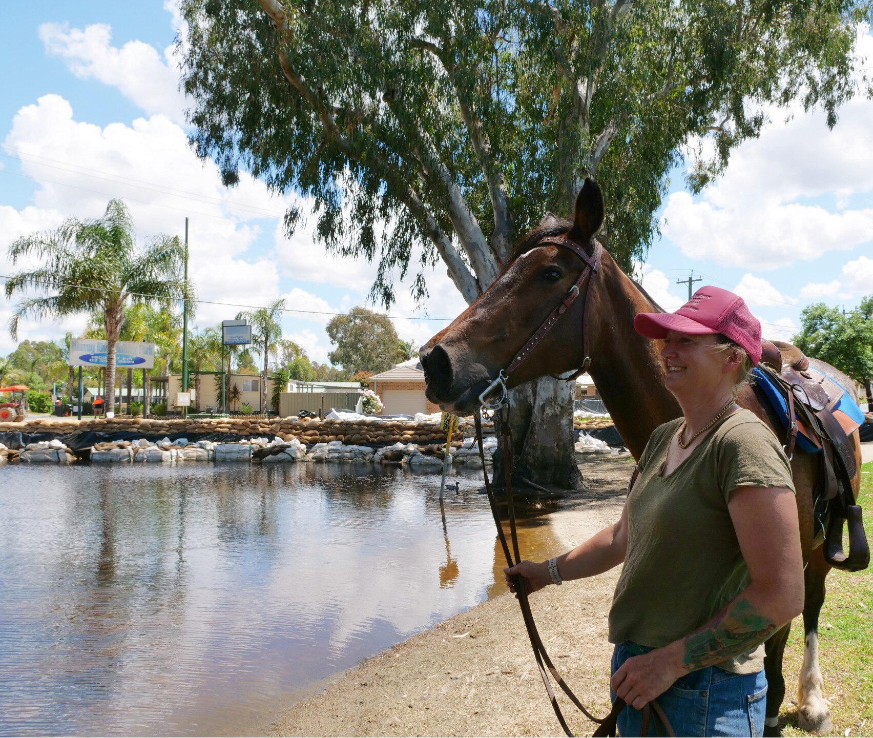Molly the horse delivers flood updates and fun during a tough time for ...