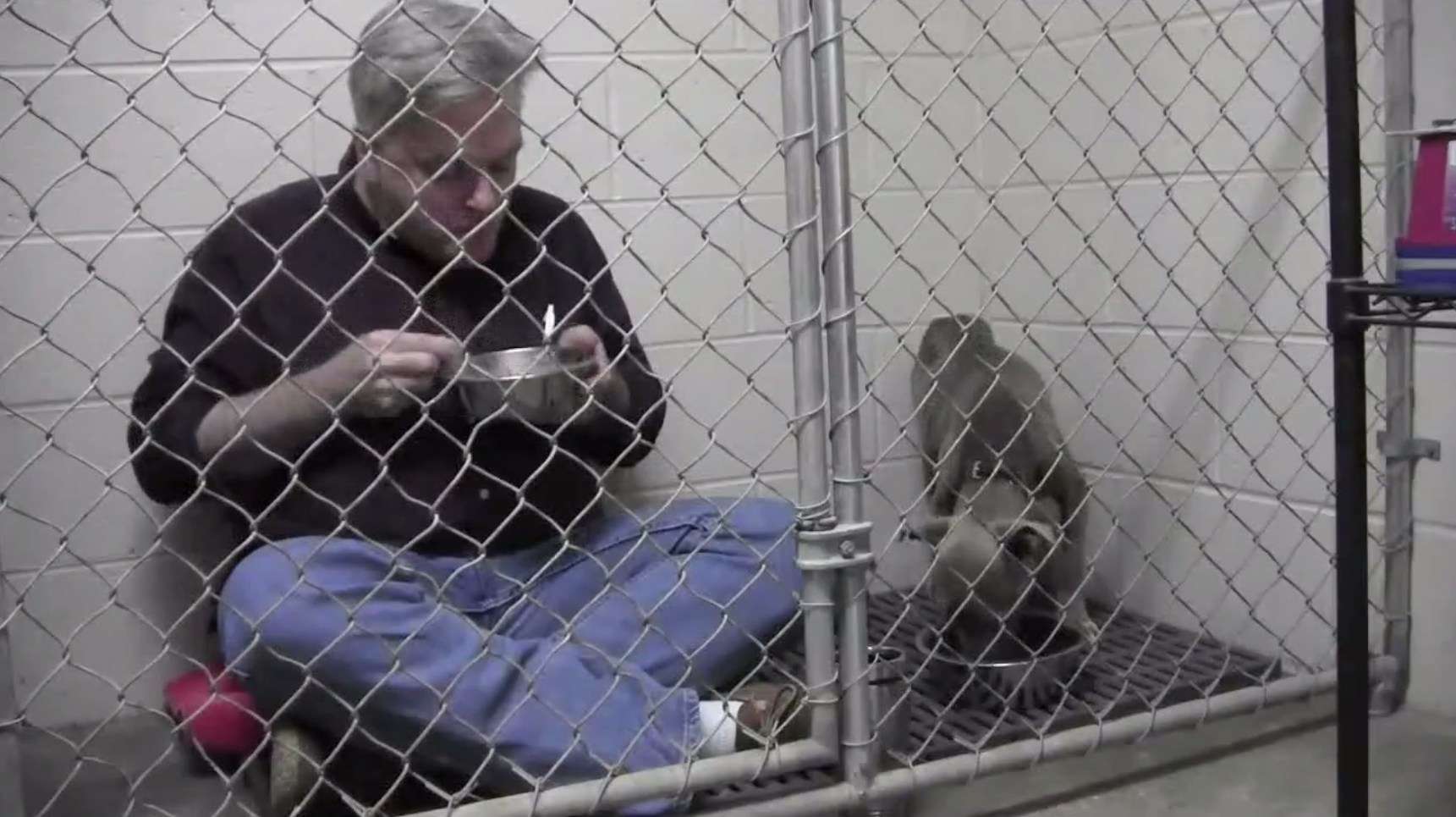 US vet eats his breakfast in a cage alongside abandoned dog Graycie ...