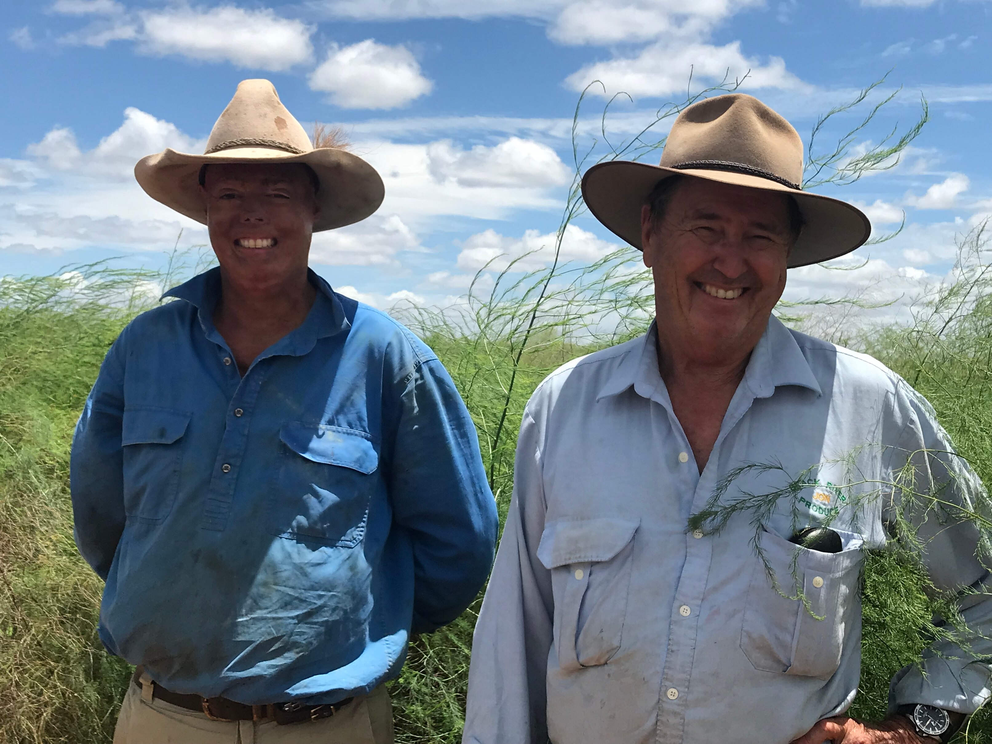North Queensland's Caleo family dream of a greener future following ...