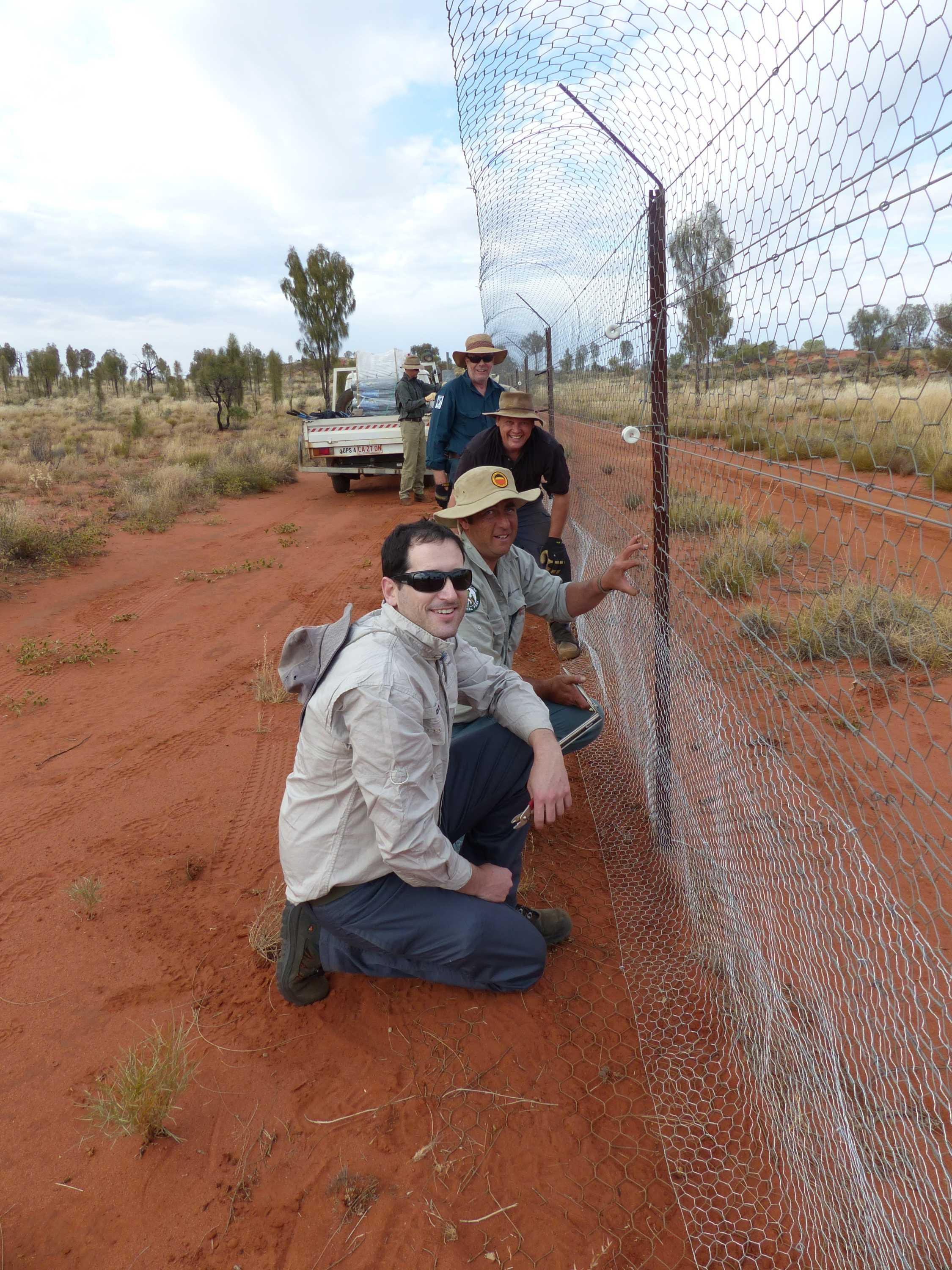Calicivirus released among rabbits to control numbers at Uluru - ABC News