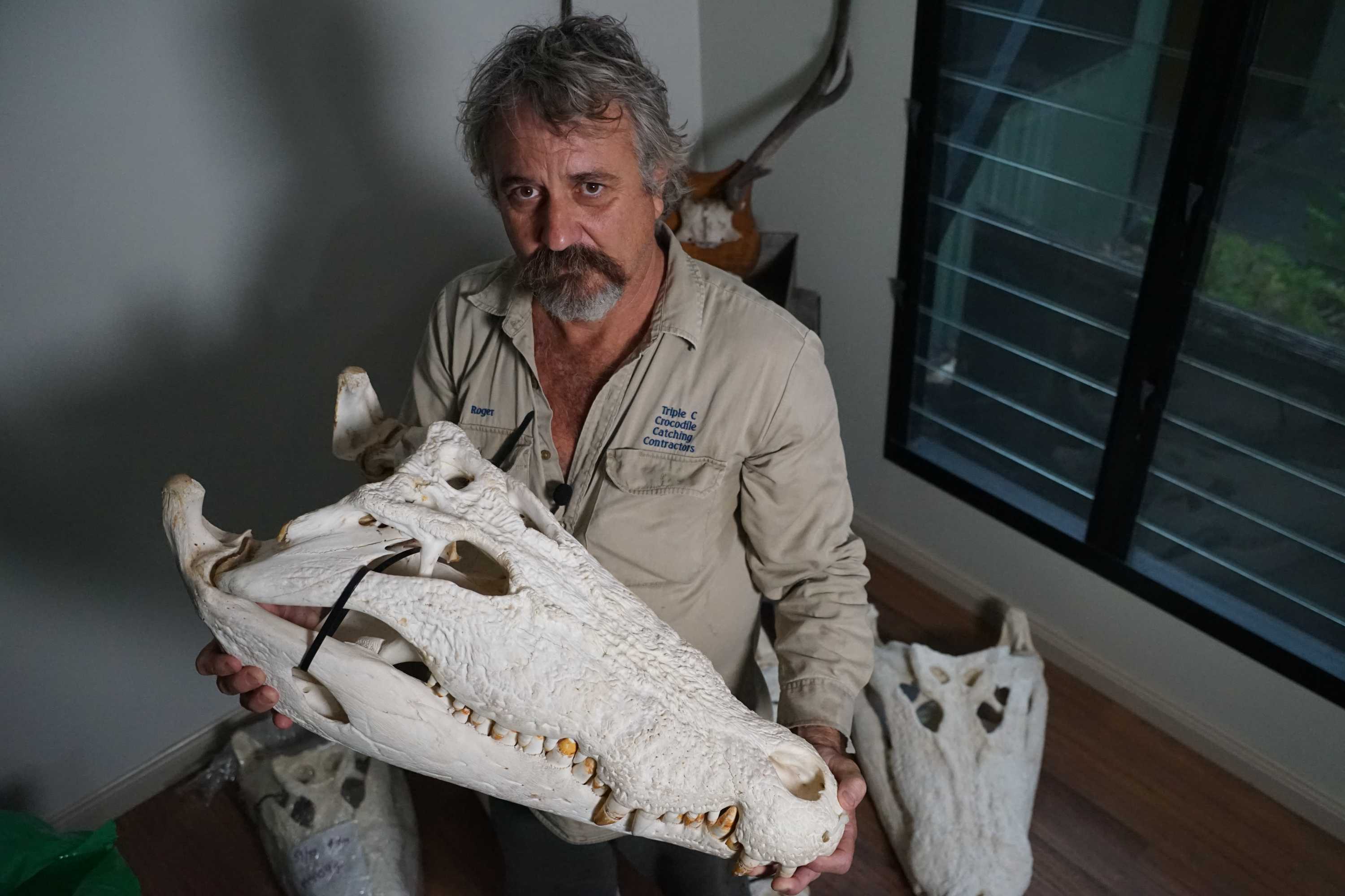 Northern Australia's saltwater crocodiles under investigation following ...