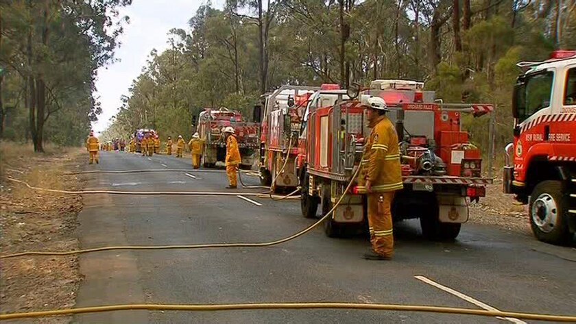 Back-burning investigated as Sydney bushfire threat eases after four ...