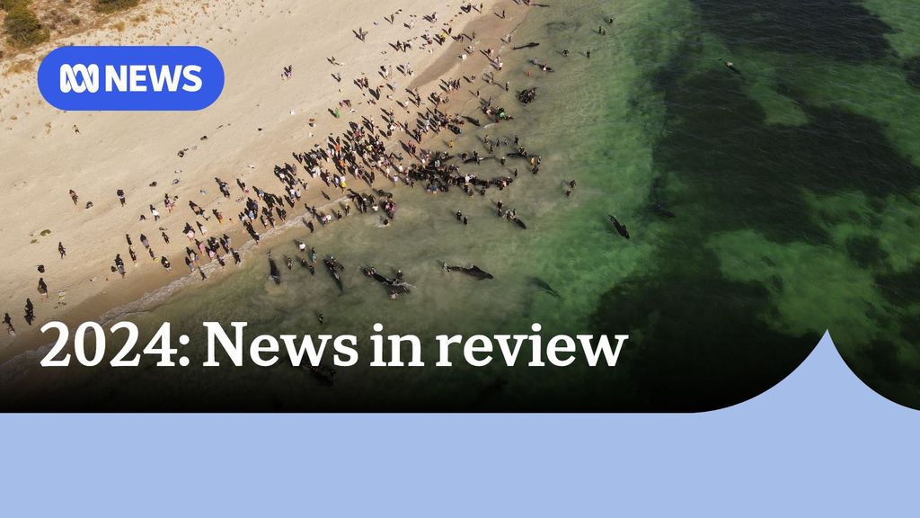 The year in news from WA and around the world - ABC News