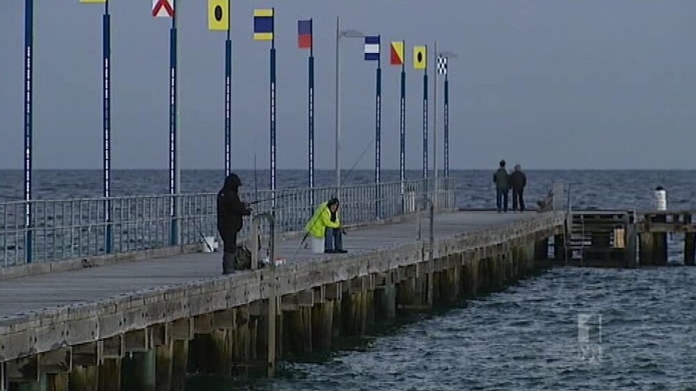 Young man drowns off pier - ABC News