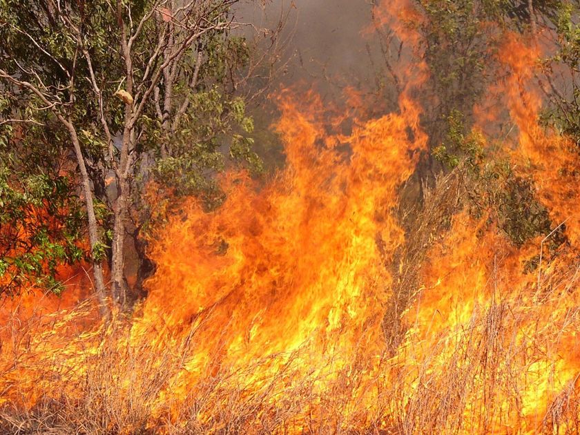 Plan to curb savanna wildfire carbon emissions - ABC News