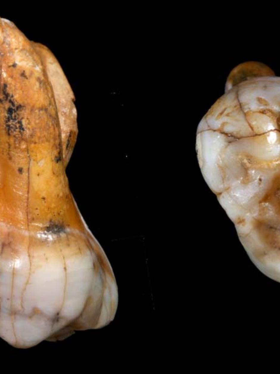 Finger bone points to new ancient human - ABC News