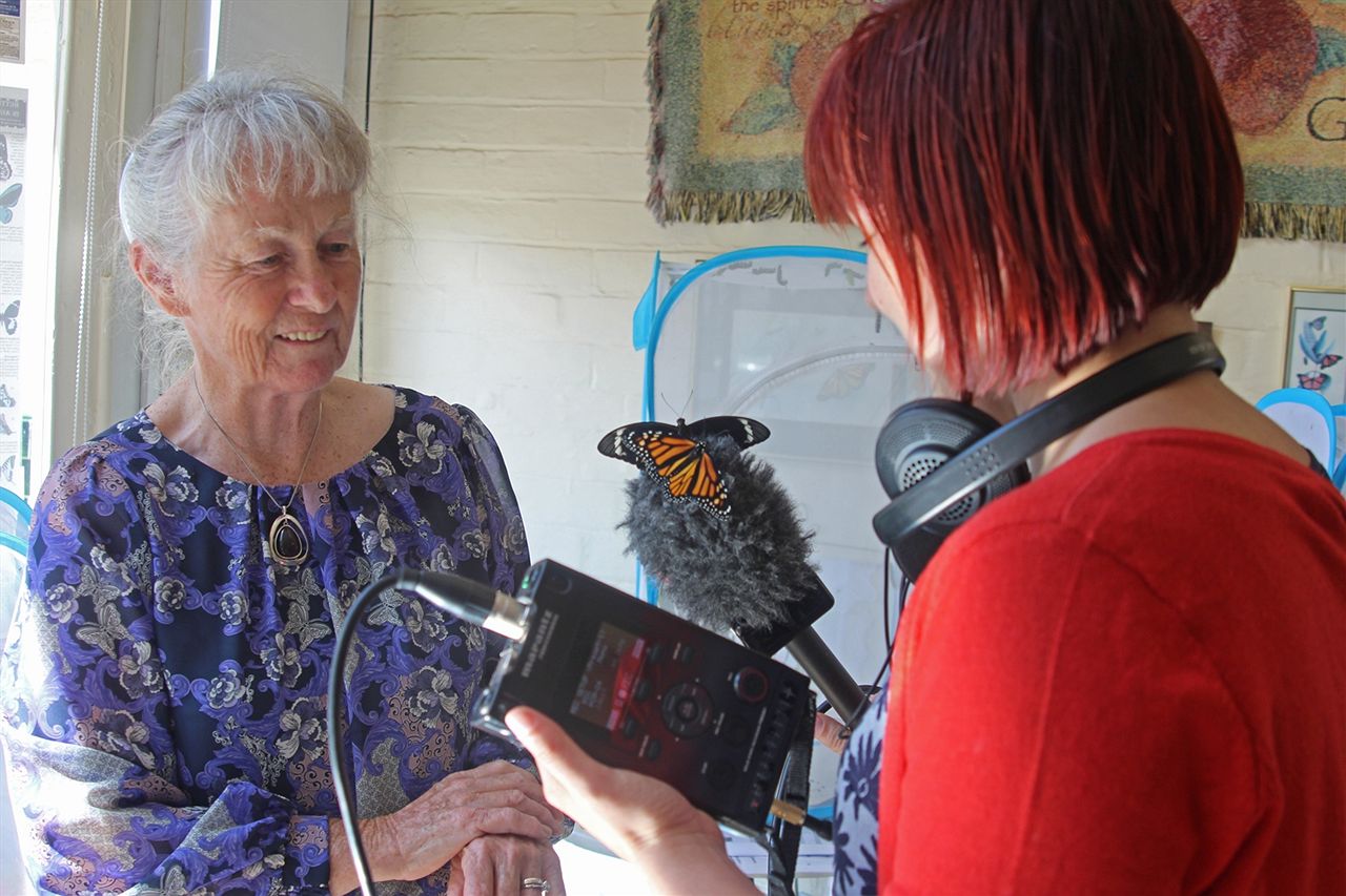 Making babies on the fly - ABC News