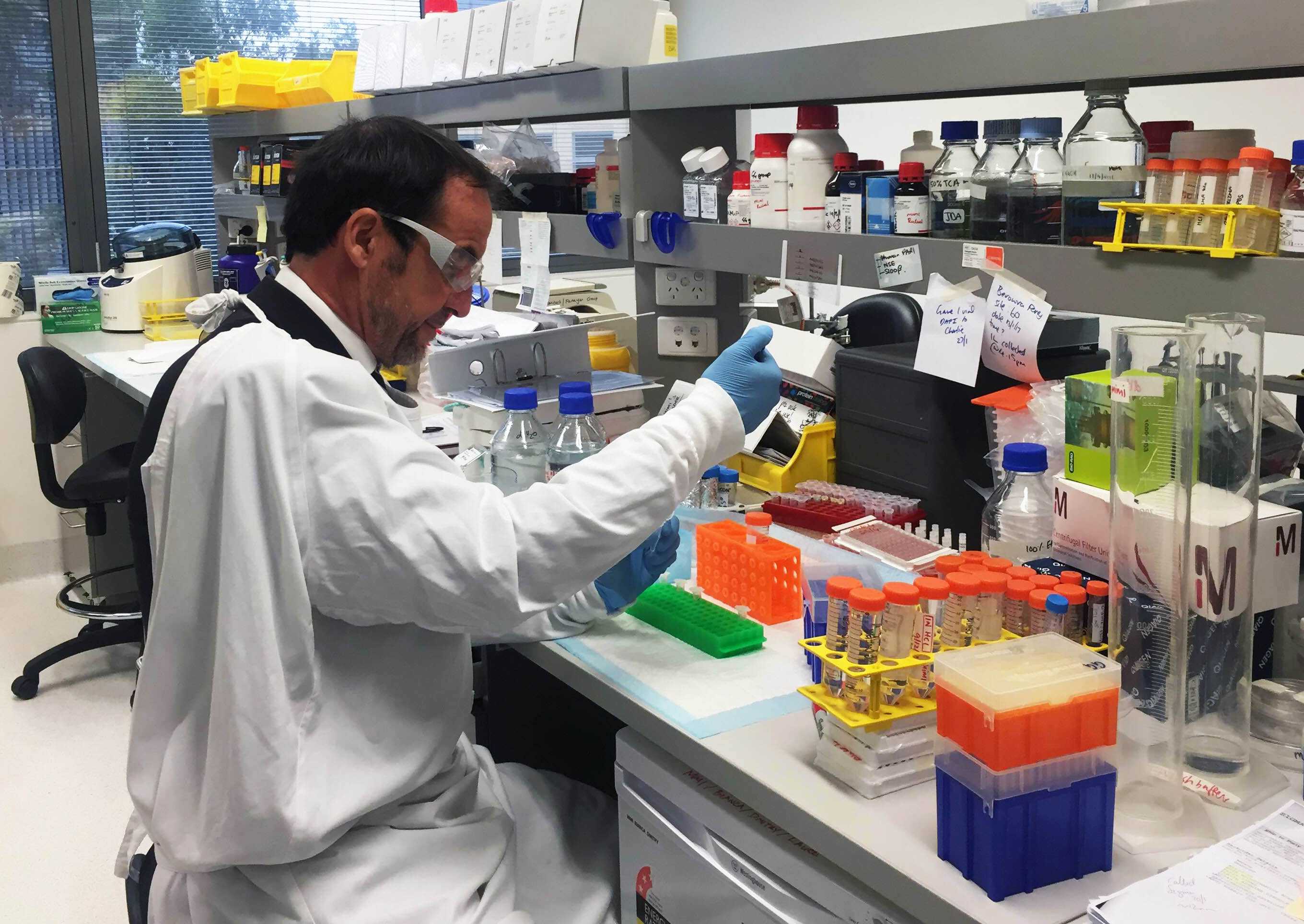 Multiple sclerosis: New blood test can identify types of MS and if ...