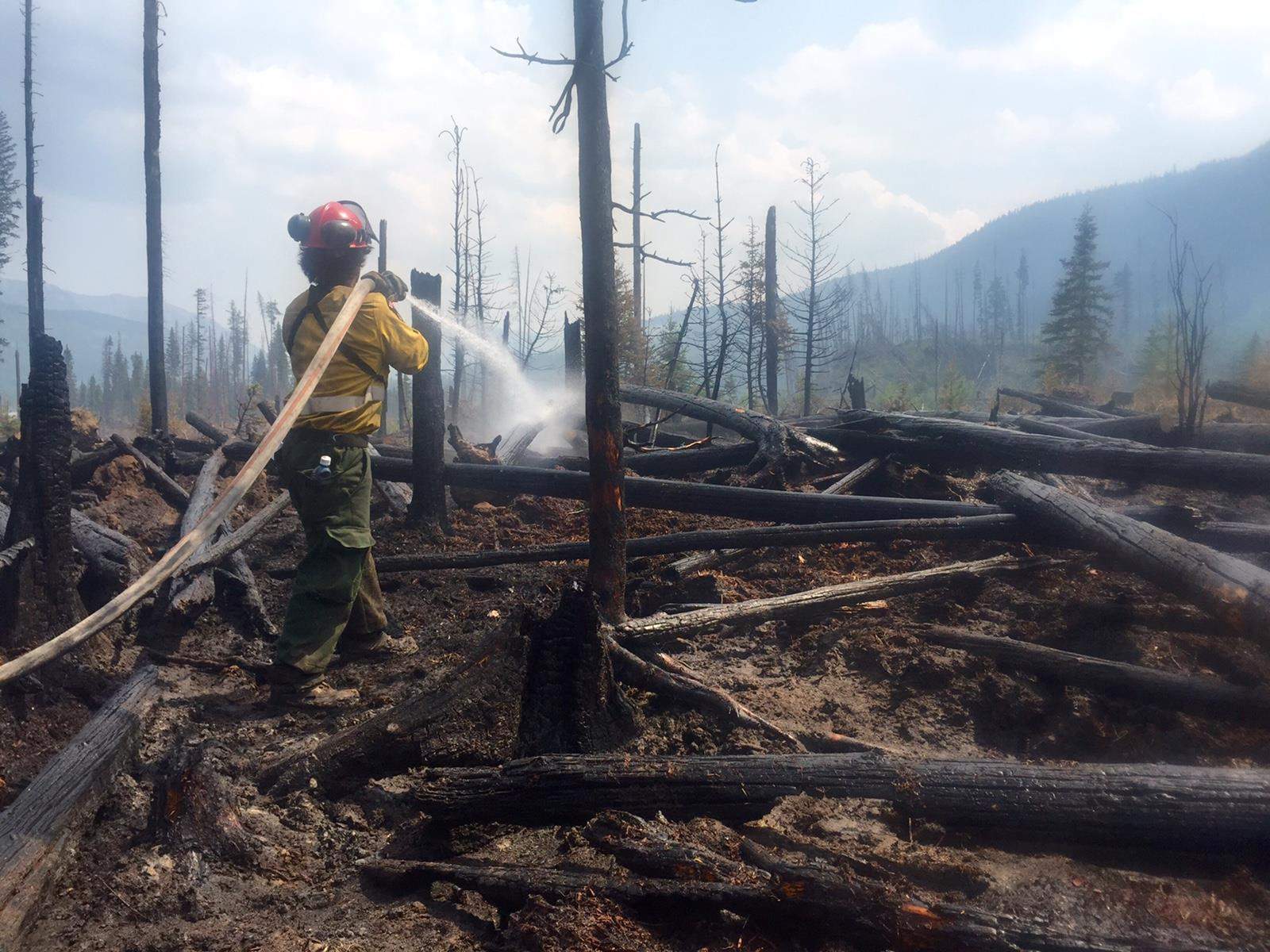 Northern Region RFS experts to help fight massive Canadian 'wildfires ...