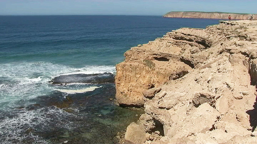 Boy dies after cliff fall - ABC News