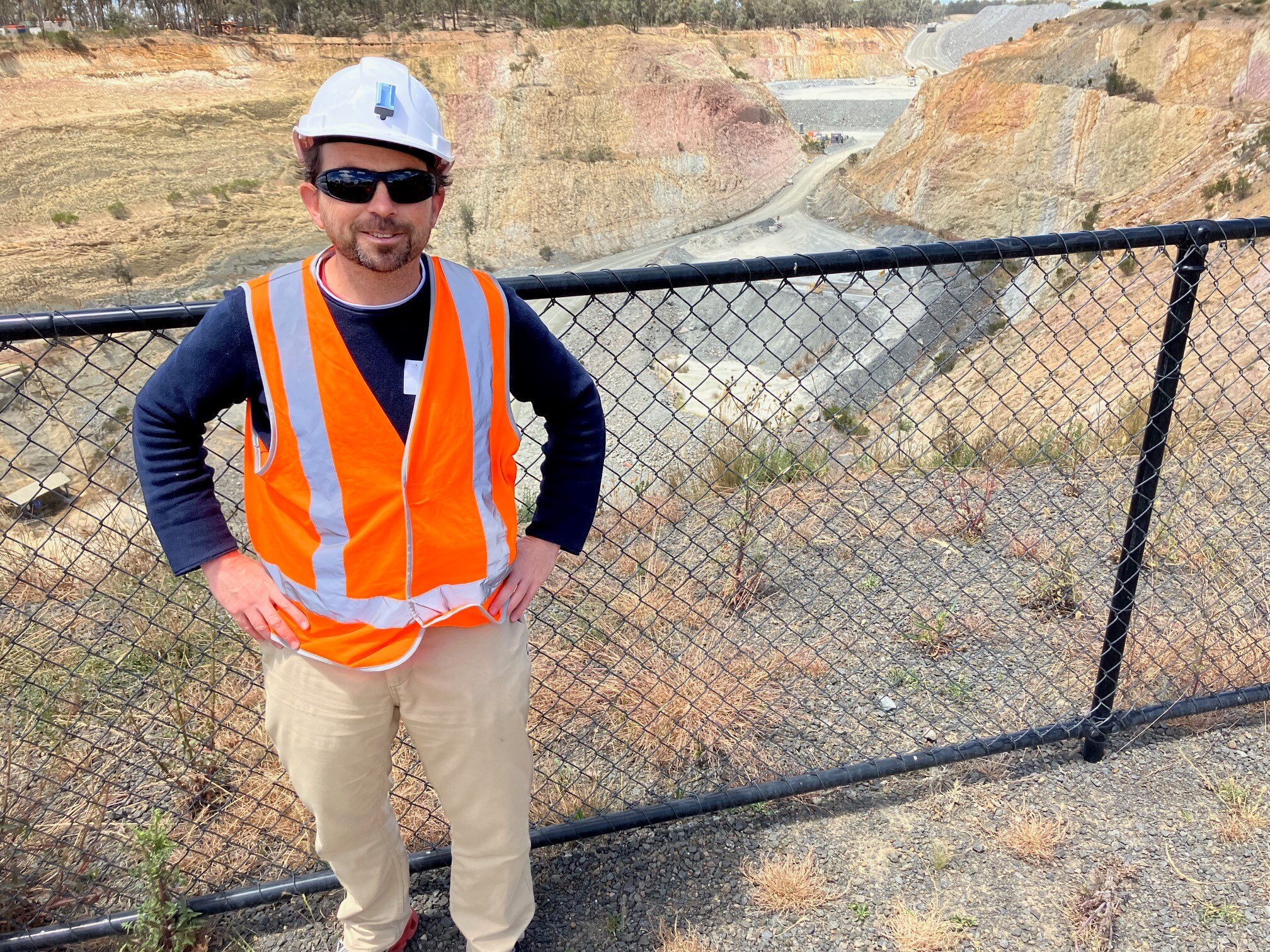 Fire ants expected to kill six and cost households $188m annually if ...