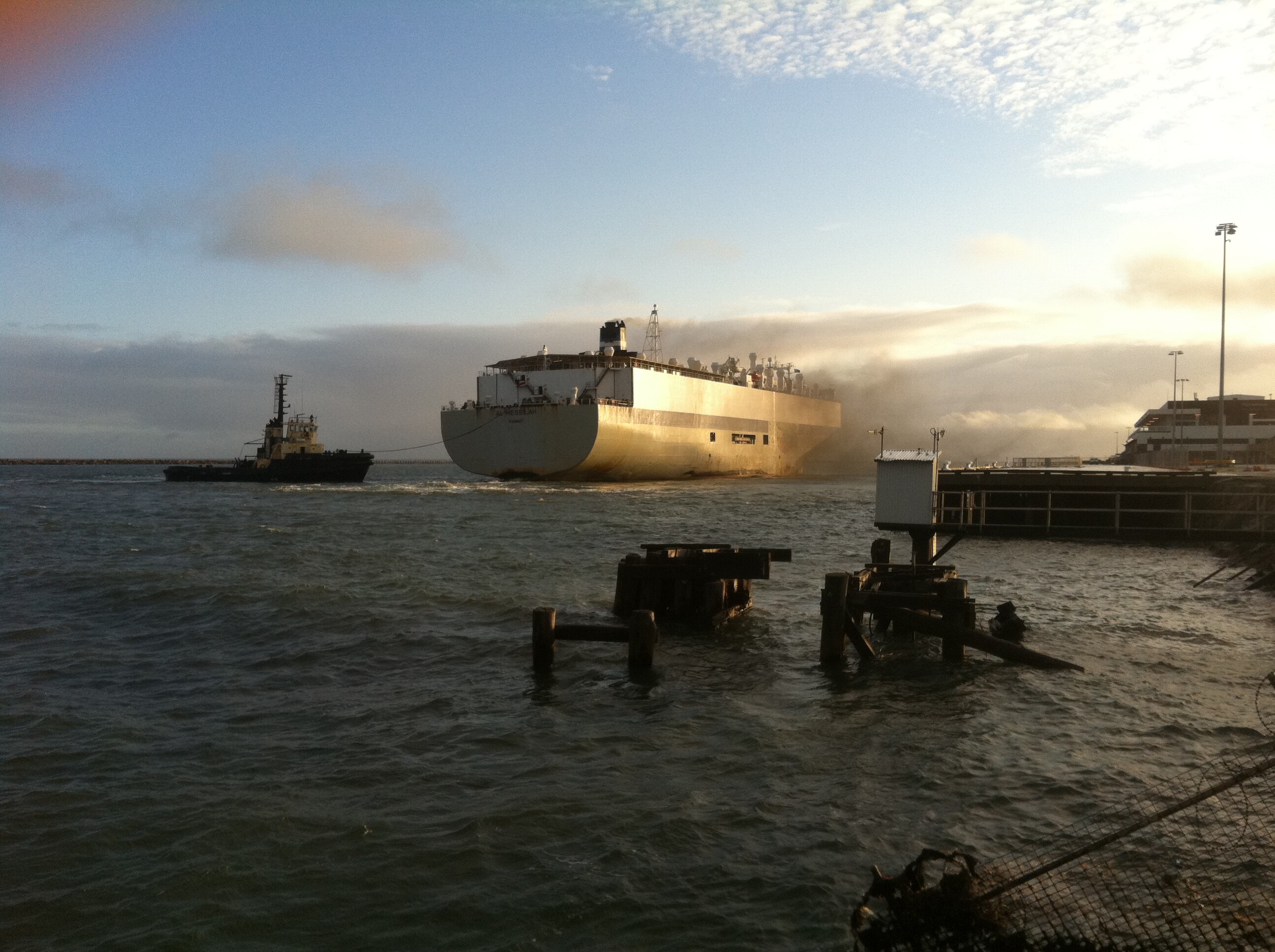 Everything ship-shape, say sheep exporters - ABC News