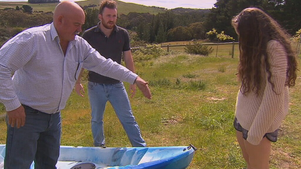 Father and son recognised for saving girl from great white shark - ABC News