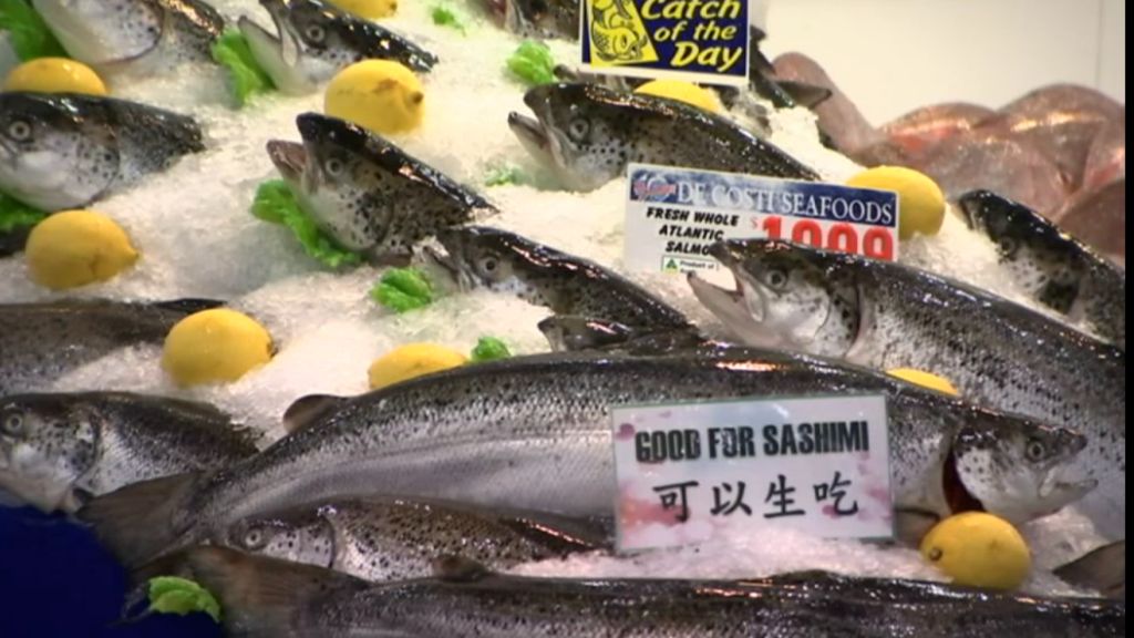 Seafood Survival: Fresh seafood still on the menu - ABC News