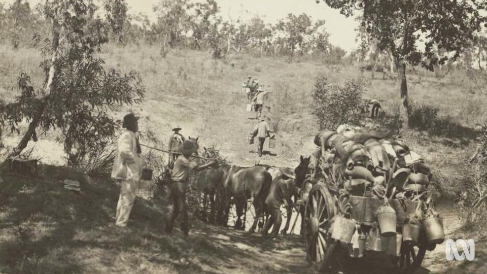 History of Darwin's Chinese community - ABC Education