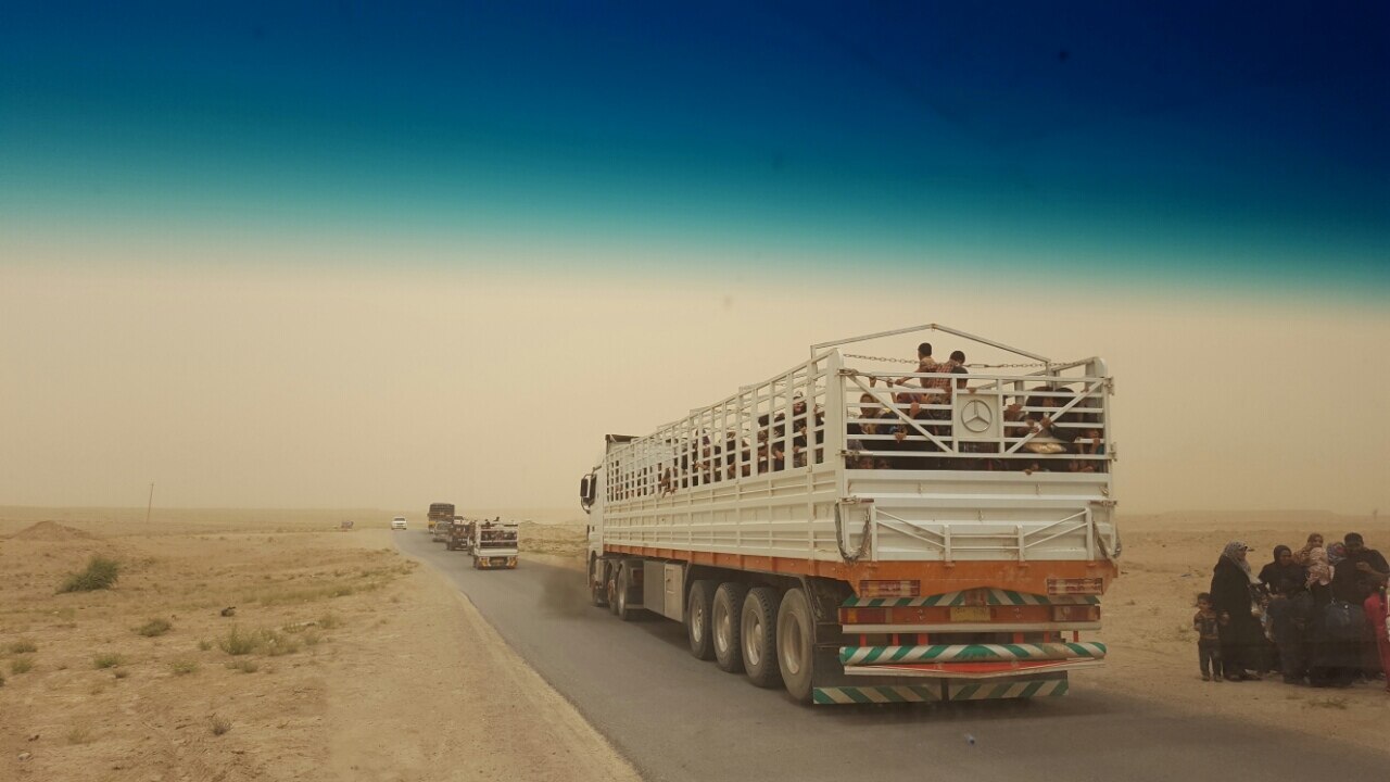 Fallujah: Relief agencies struggling to cope as tens of thousands flee ...