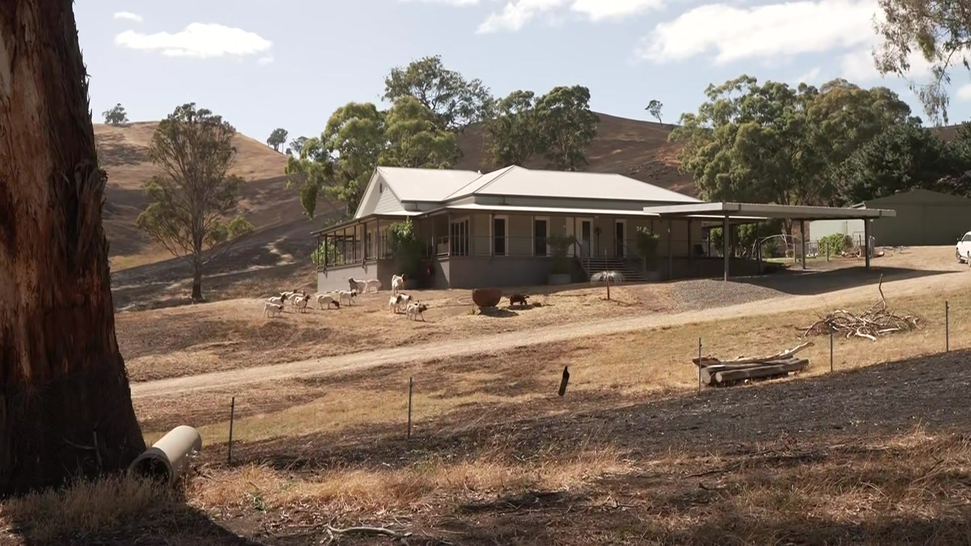 Family saves Acheron home after Longwood fire encircles property - ABC News