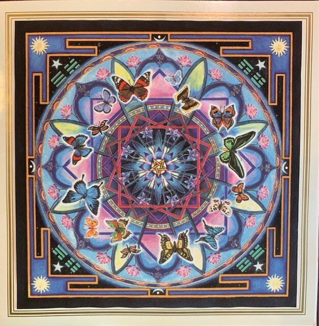 Life in 500 Words: Jen and the butterflies - ABC listen