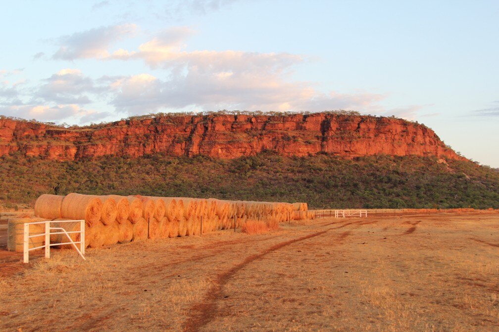 Is this the hay paddock with the best view in the Northern Territory ...